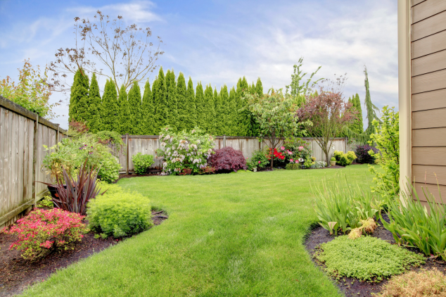 Lawn Care Tips for Your Big Backyard